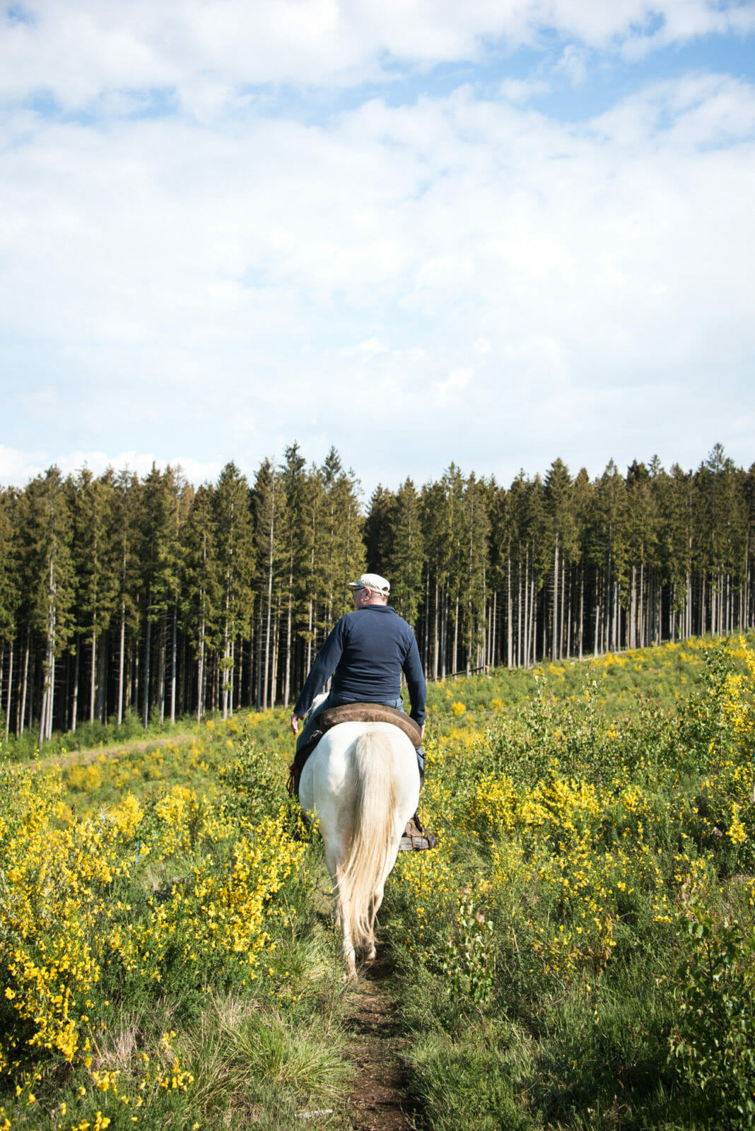 Randonner à cheval en Ardenne - Forêt de Saint-Hubert - Sentiers du Phoenix